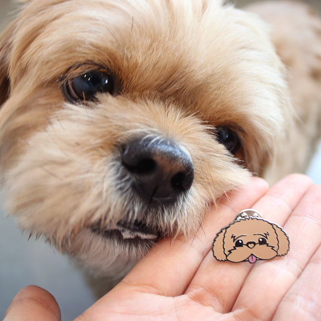 Chewy Pin - LIMITED EDITION – Giant Hugs